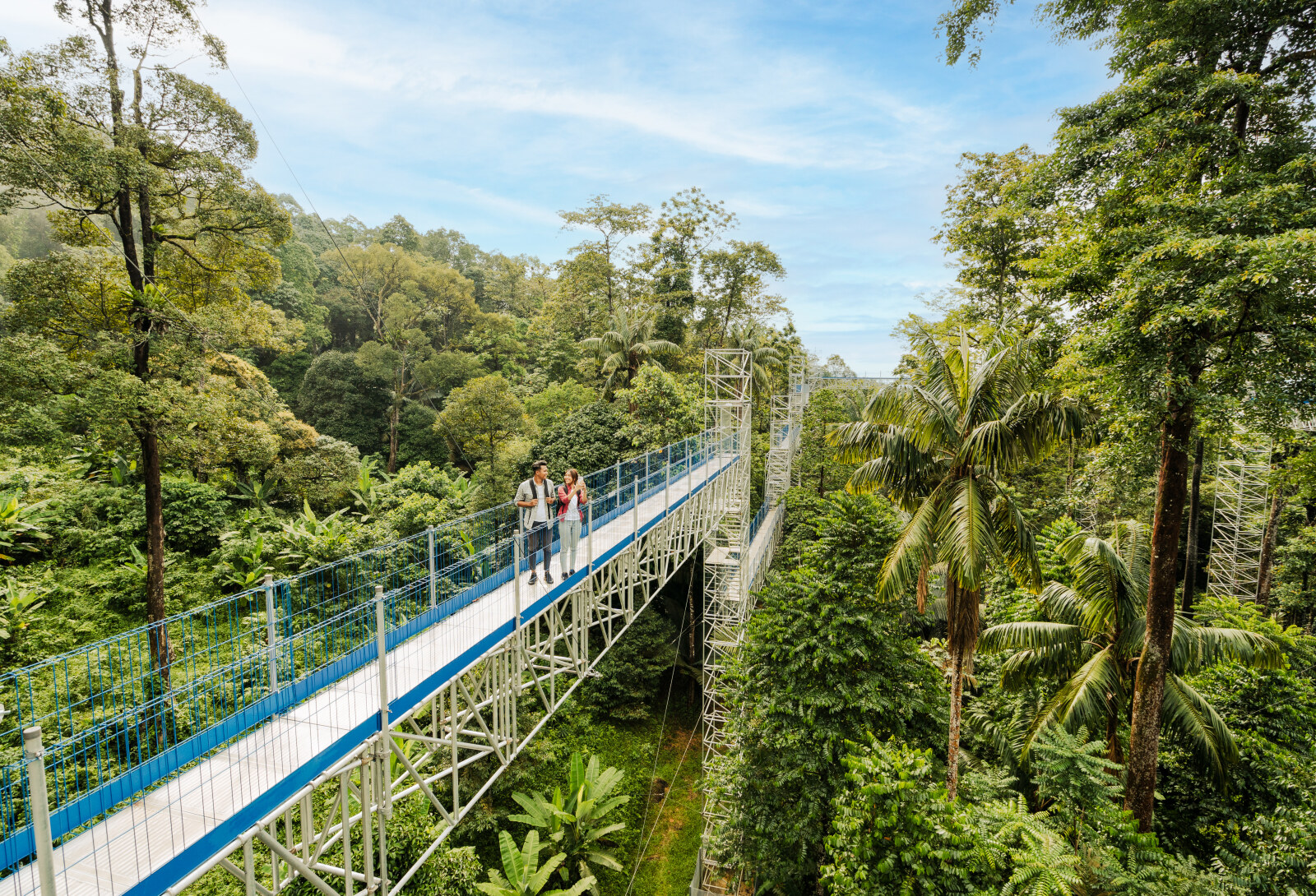 Maleisië excursie Kuala Lumpur FRIM Rainforest and Skywalk - 333travel