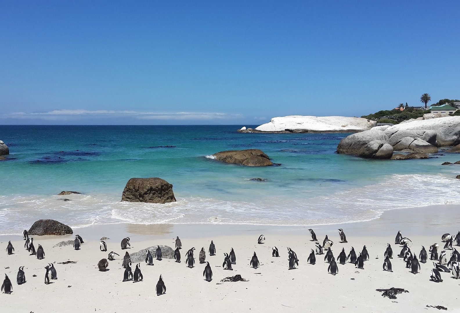 Tsitsikamma National Park | Bezienswaardigheden Zuid-Afrika - 333travel