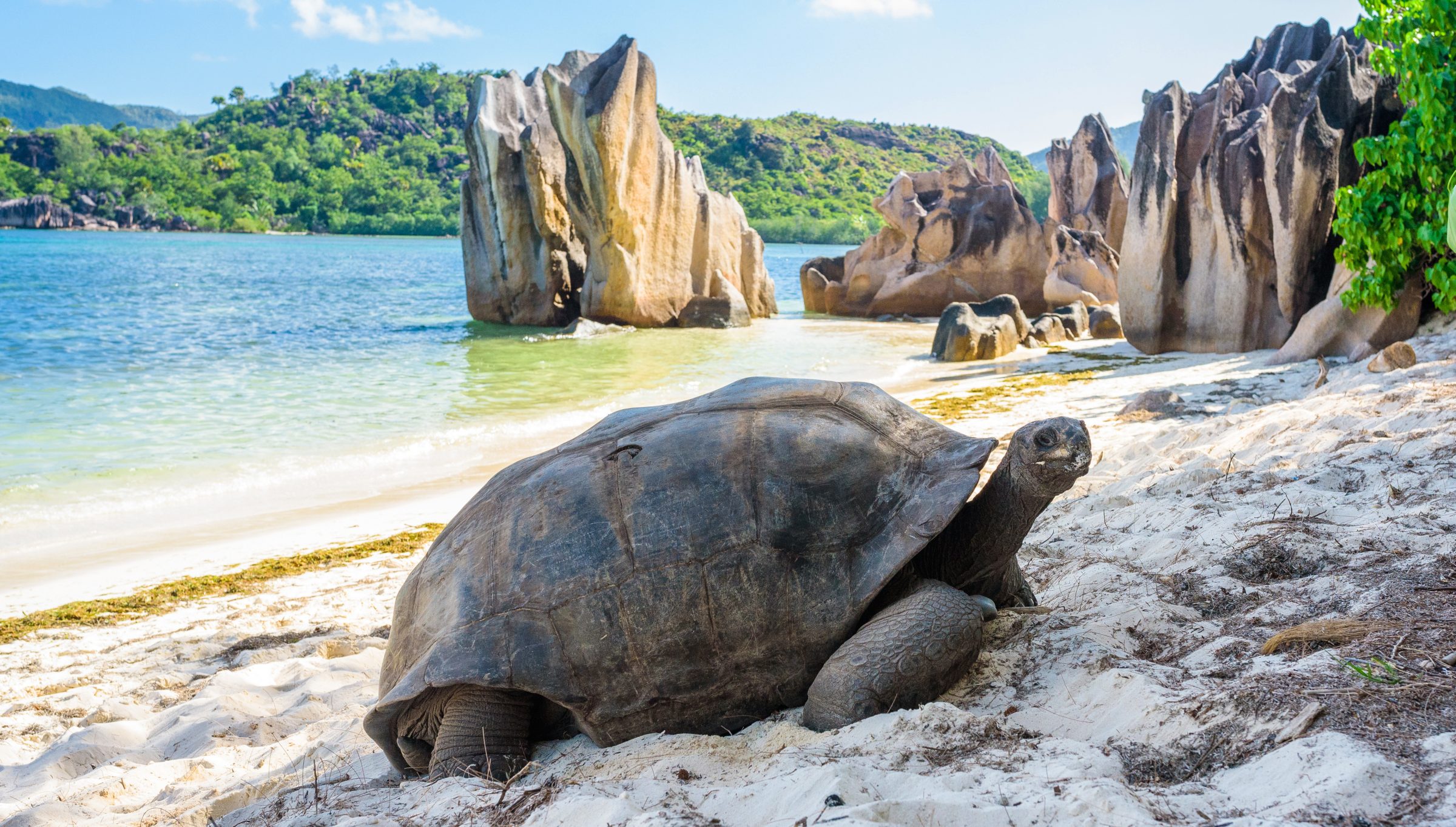 Wat te doen op de Seychellen | de leukste tips! - 333travel