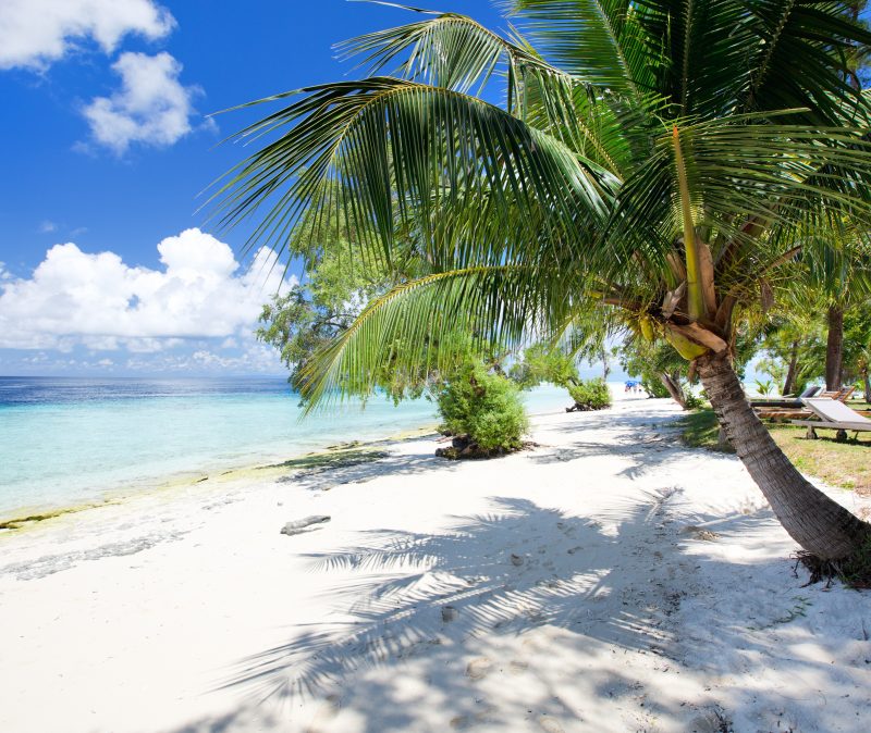 Vakantie Maleisië | Verrassend Veelzijdig - 333travel