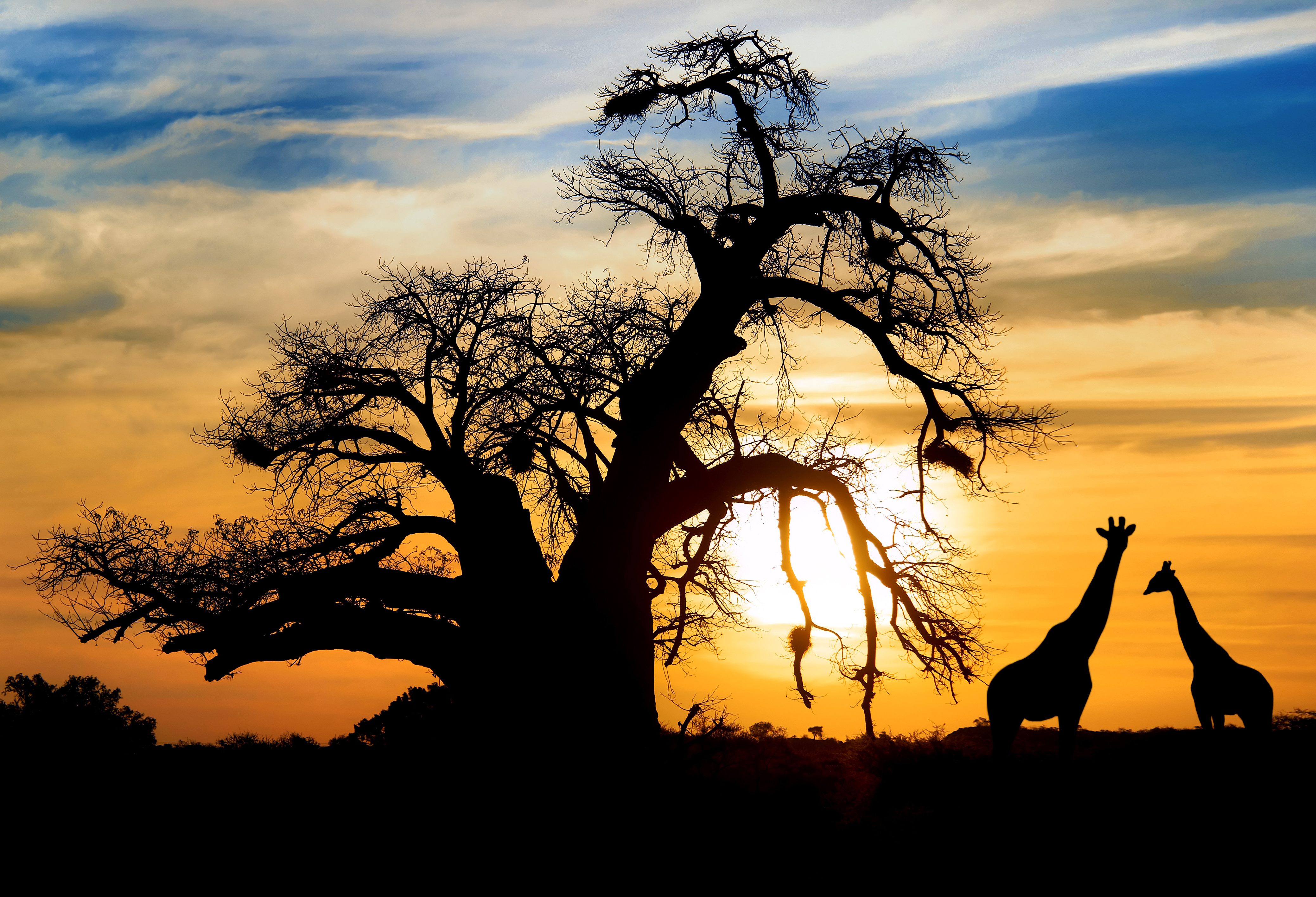 Tsitsikamma National Park | Bezienswaardigheden Zuid-Afrika - 333travel