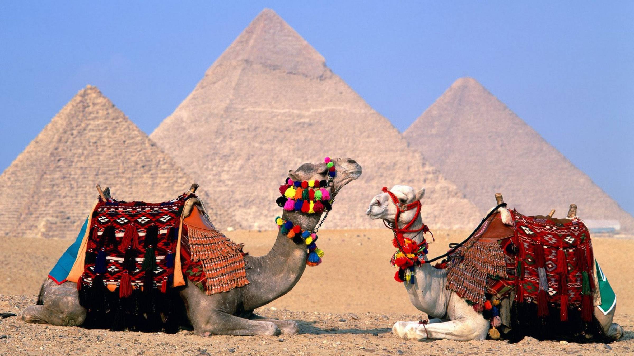 De piramides van Gizeh | Alles over de ‘must see’ van Egypte - 333travel