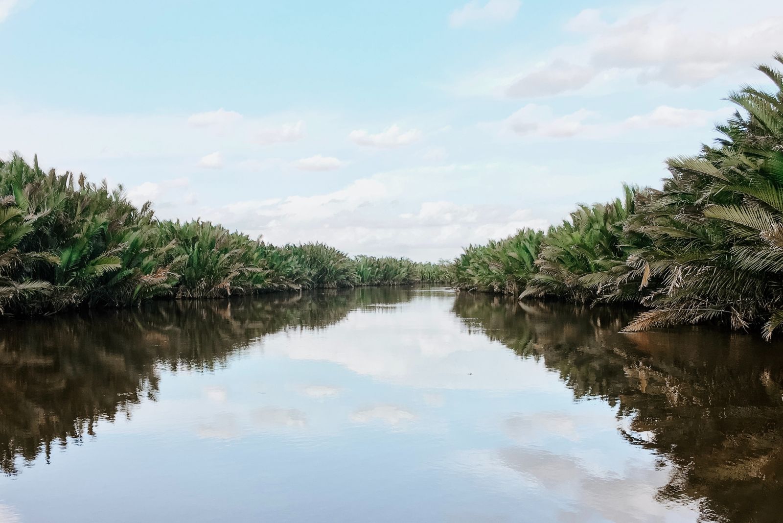 18-daagse privérondreis Indonesië Java Kalimantan en Bali - 333travel