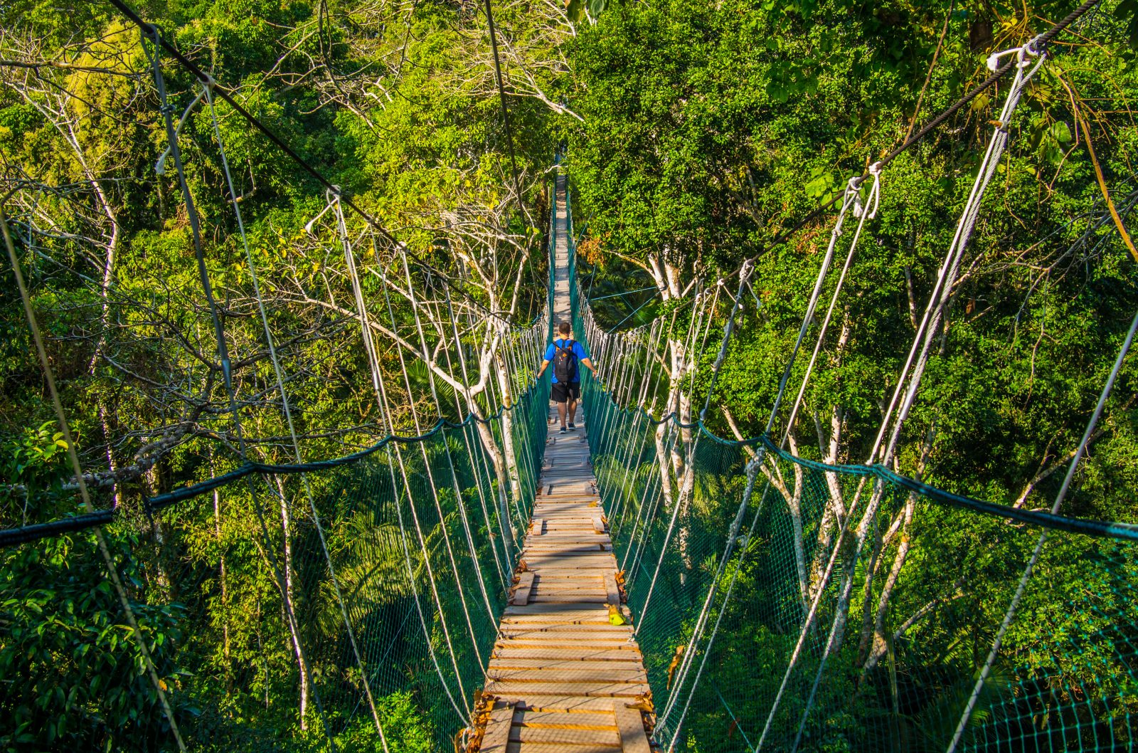 Amazone (Peru) I Tips & bezienswaardigheden - 333travel