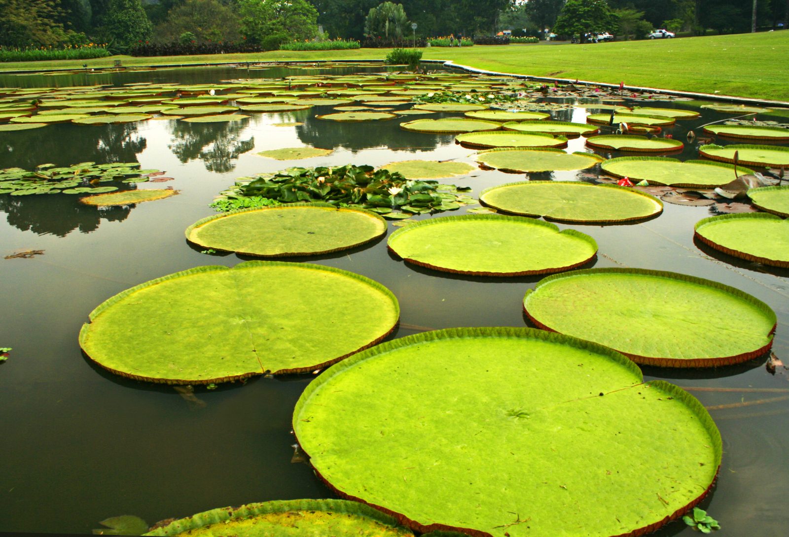 Van Jakarta naar Bandung | 3-daagse privétour - 333travel