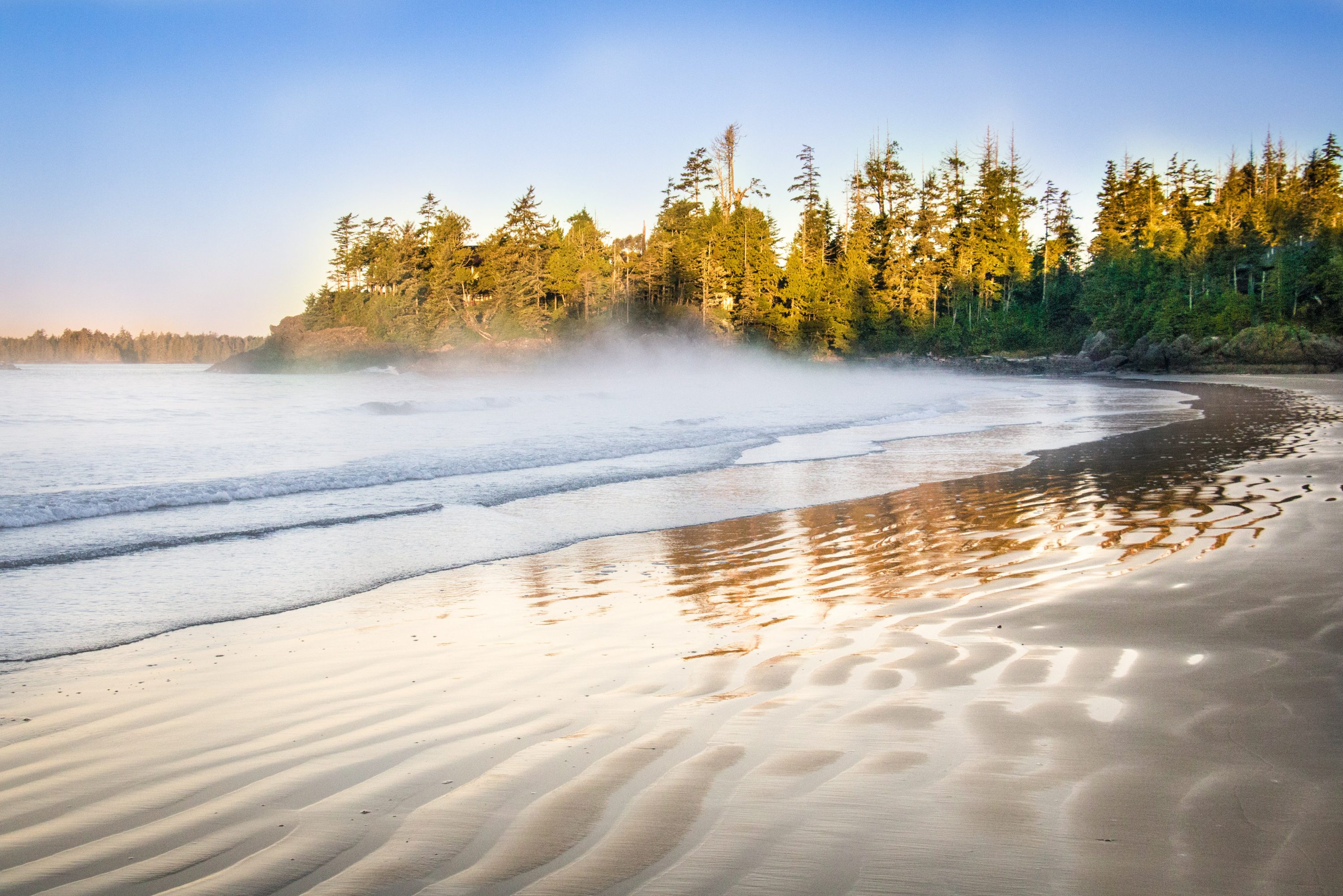 Excursie Canada Vancouver Island Beren spotten bij Tofino - 333travel