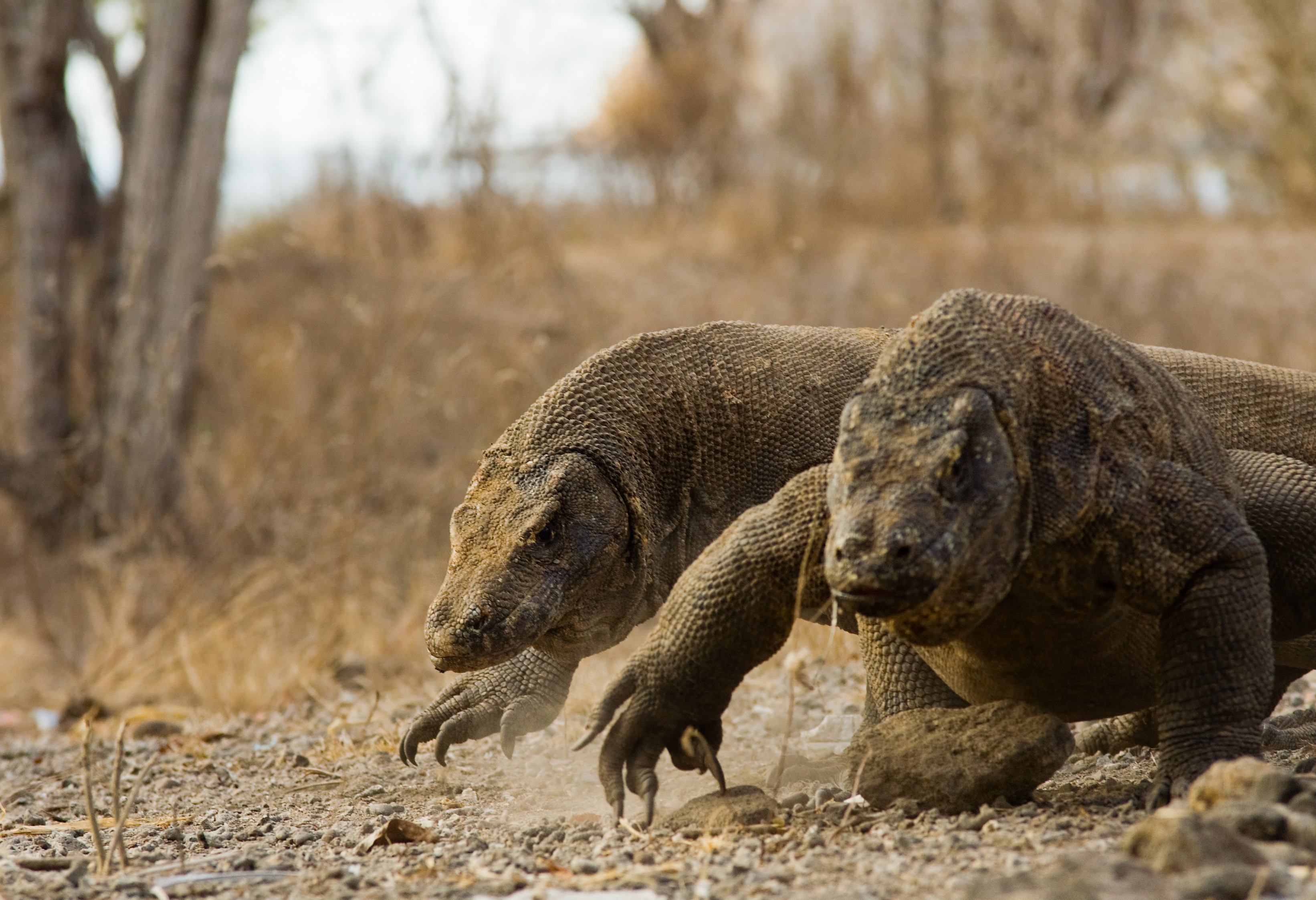Rondreis Goden, draken en strandparadijsjes | 20 dagen - 333travel