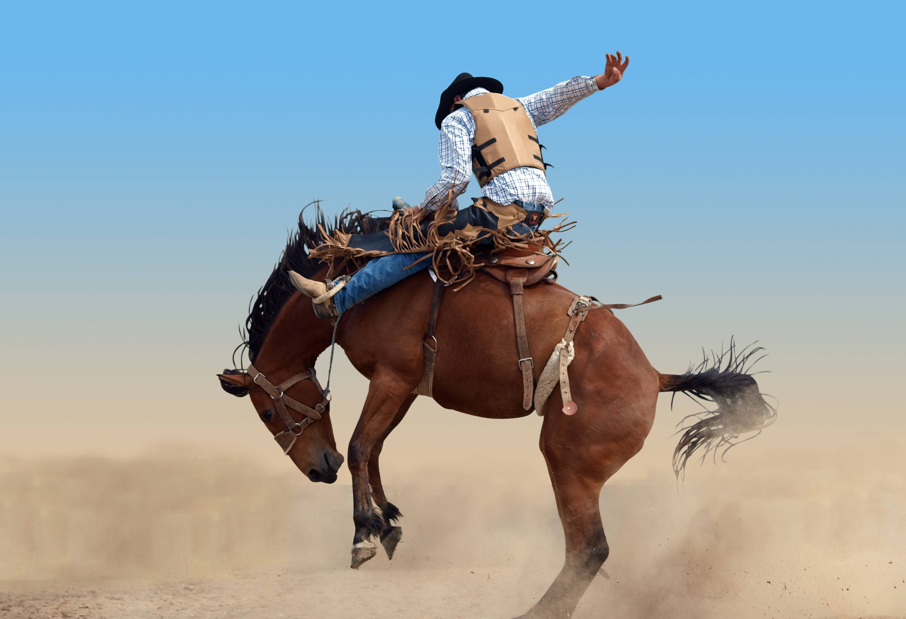 Tour Amerika - Cowboys & Indians (excl. vlucht) - 333travel