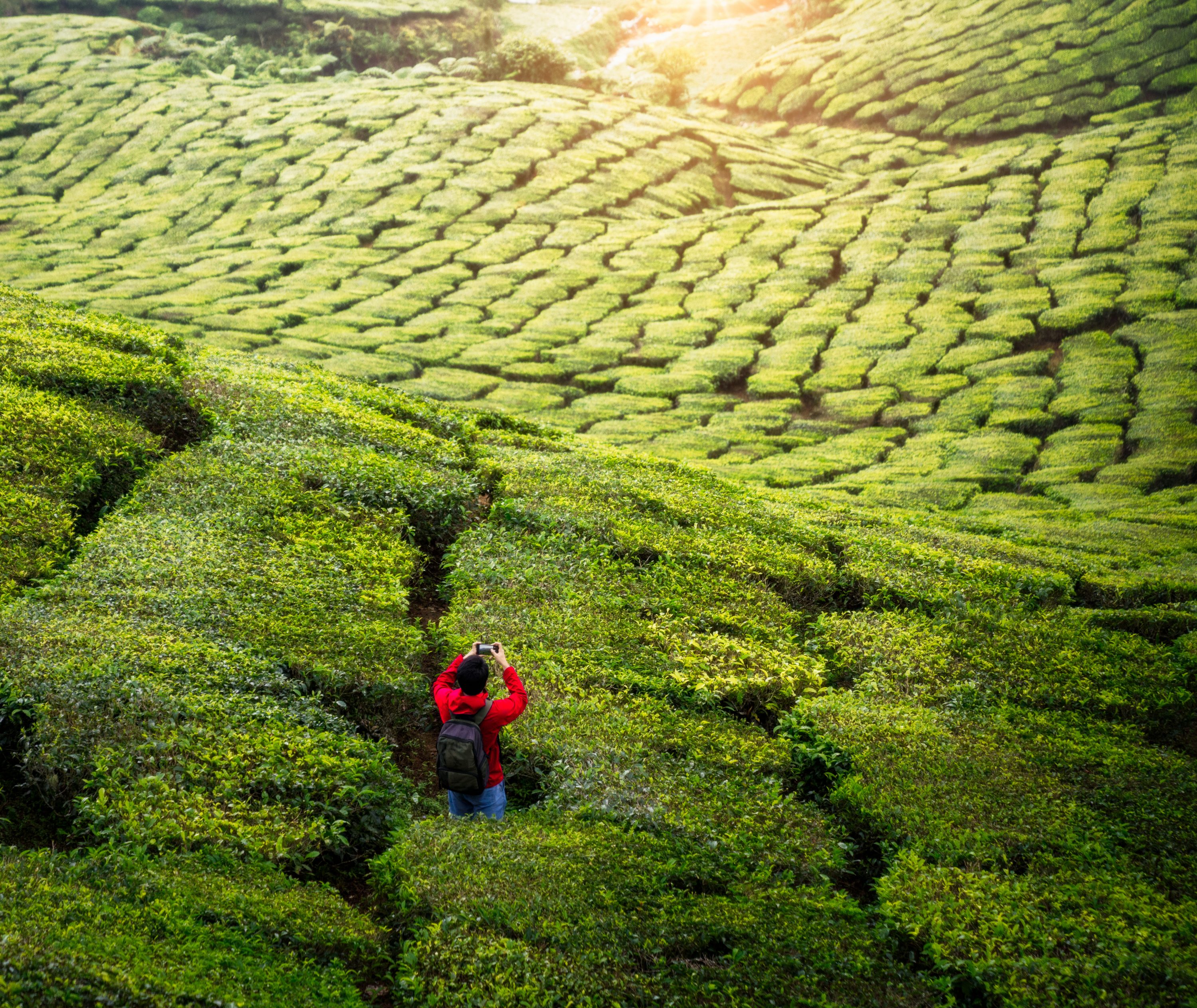 Vakantie Maleisië | Verrassend Veelzijdig - 333travel