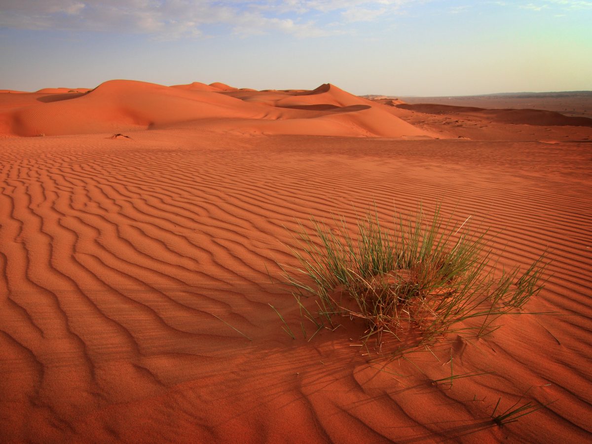Wahiba Sands (Oman) | Tips en bezienswaardigheden - 333travel
