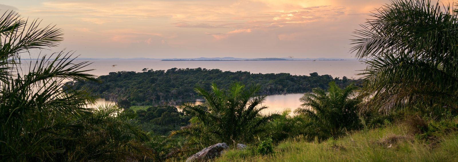 Entebbe (Oeganda) | Tips en bezienswaardigheden - 333travel