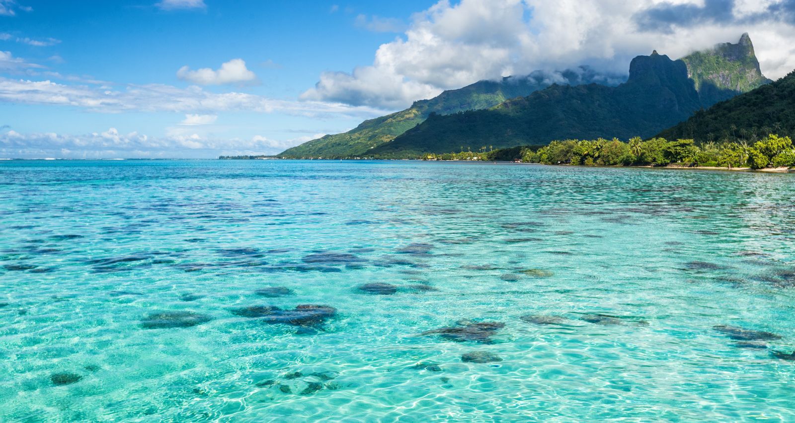 Moorea | Frans-Polynesië - 333travel