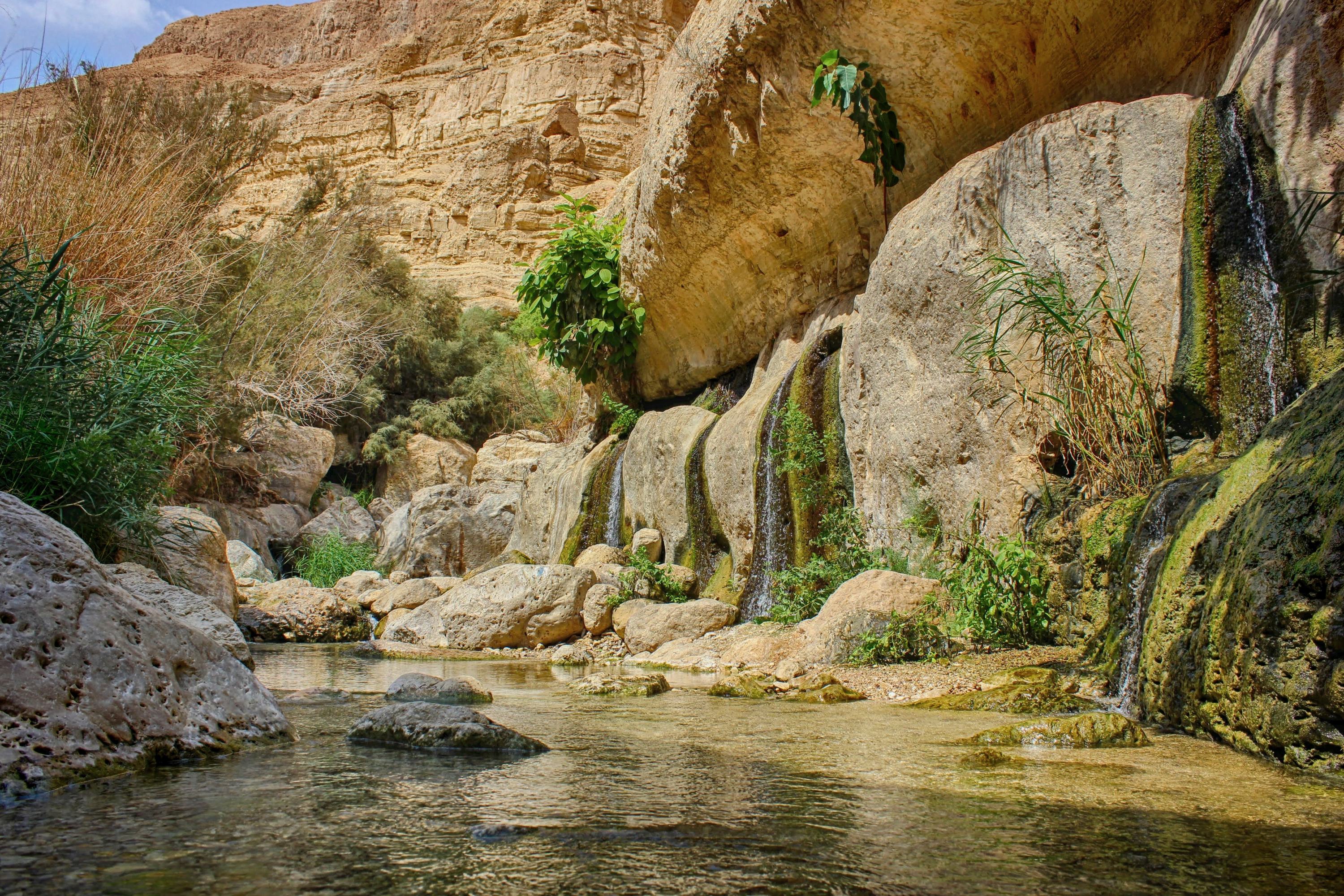 Ein Gedi (Israël) | Tips en bezienswaardigheden - 333travel