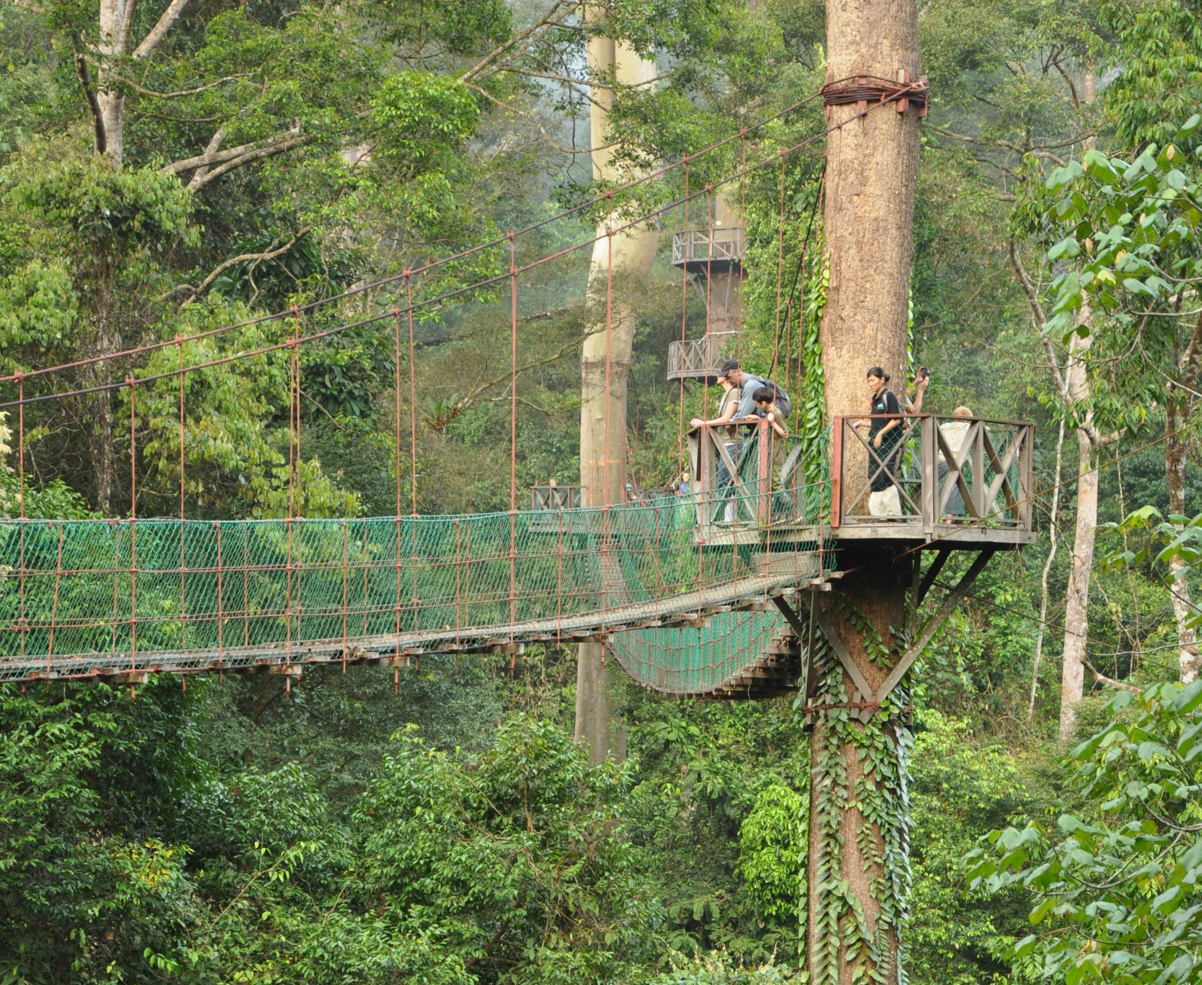 Danum Valley (Borneo, Maleisië) | Tips en bezienswaardigheden - 333travel