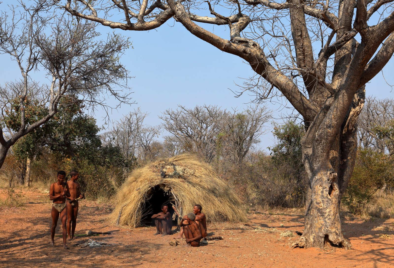 3-daagse tour Namibië | Bosjesmannen; de oudste overlevende cultuur ter ...