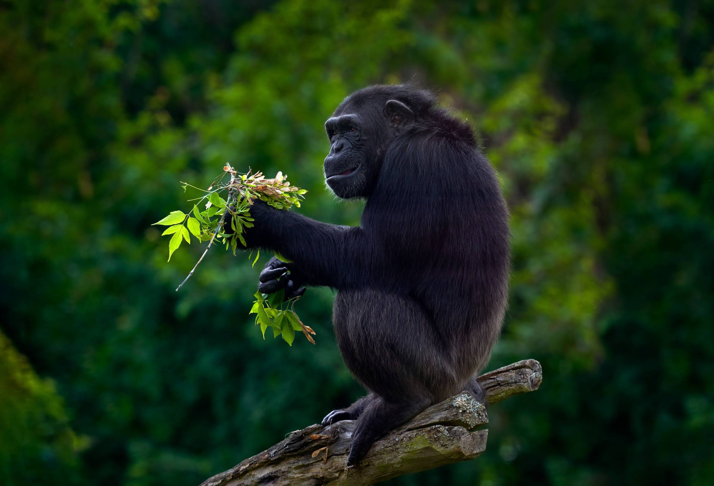 Queen Elizabeth National Park (Oeganda) | Tips en bezienswaardigheden ...