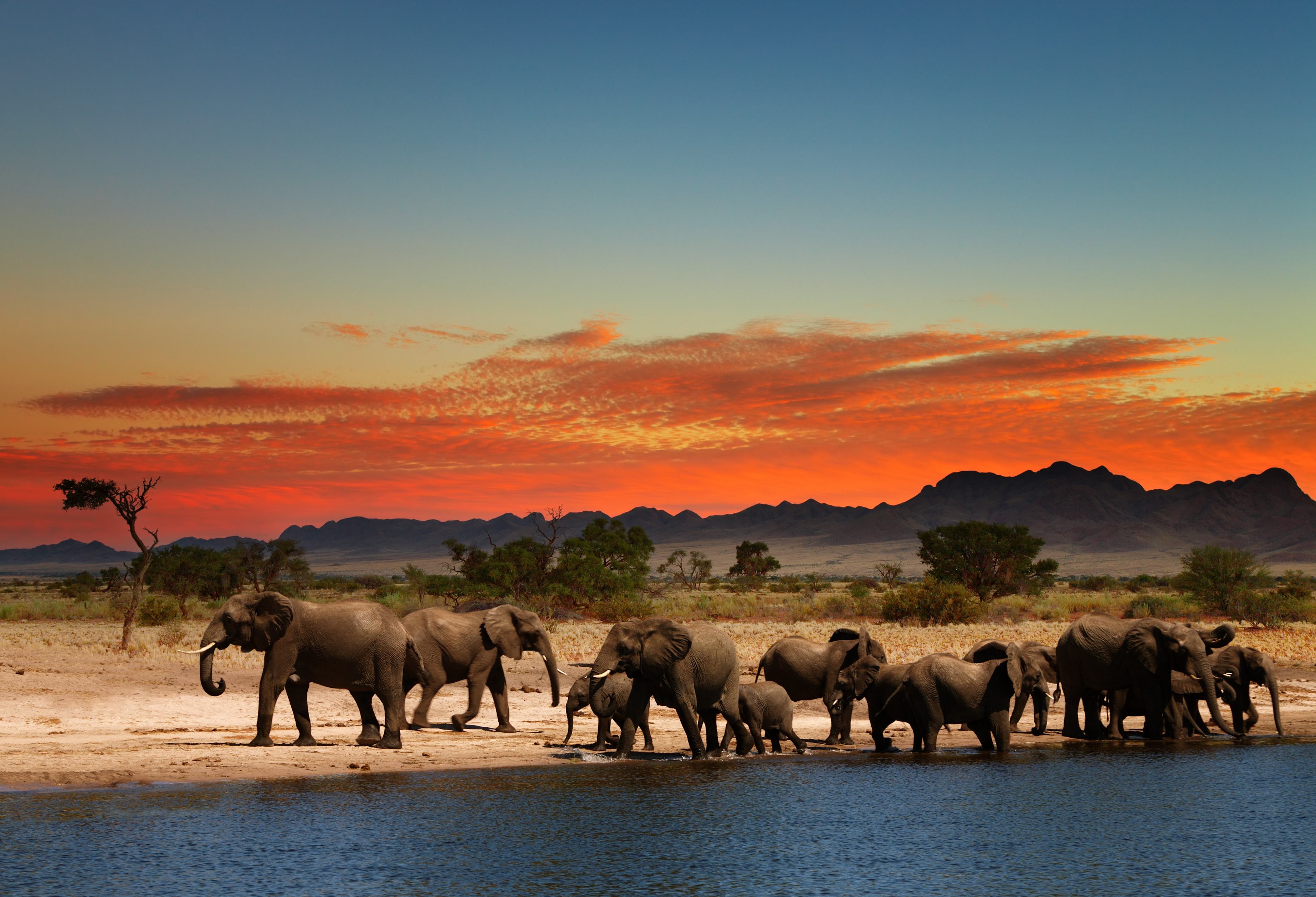 Hazyview bezoeken? Bezienswaardigheden & Informatie - 333travel
