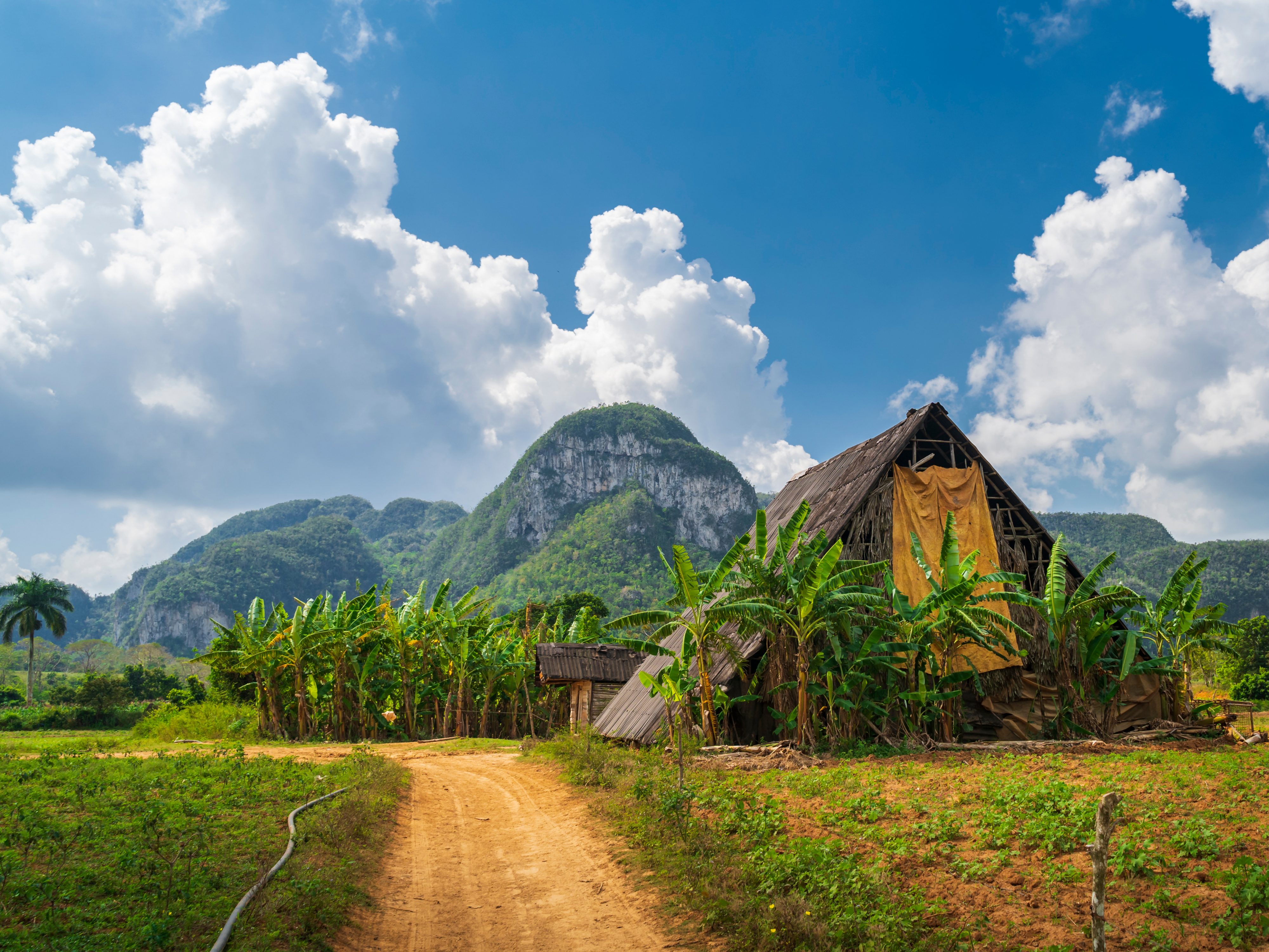 Viñales Vallei (Cuba) | Tips en bezienswaardigheden - 333travel
