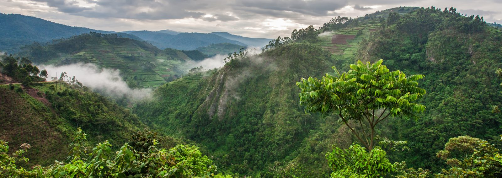 Vakantie Oeganda (Uganda) | De parel van Afrika - 333travel